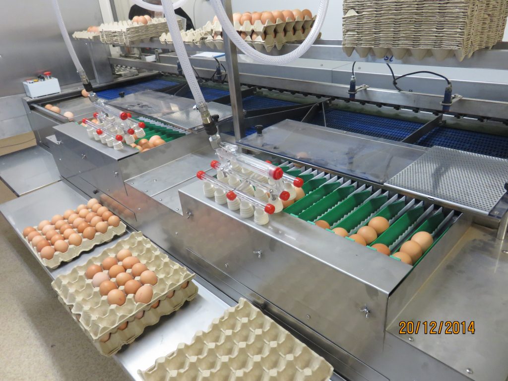 Rohde Farms installs the new model Riva Selegg S151 egg grader ...