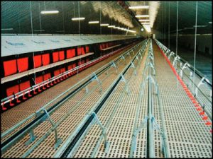 Free Range Layer Systems - Dunogan Farm Tech